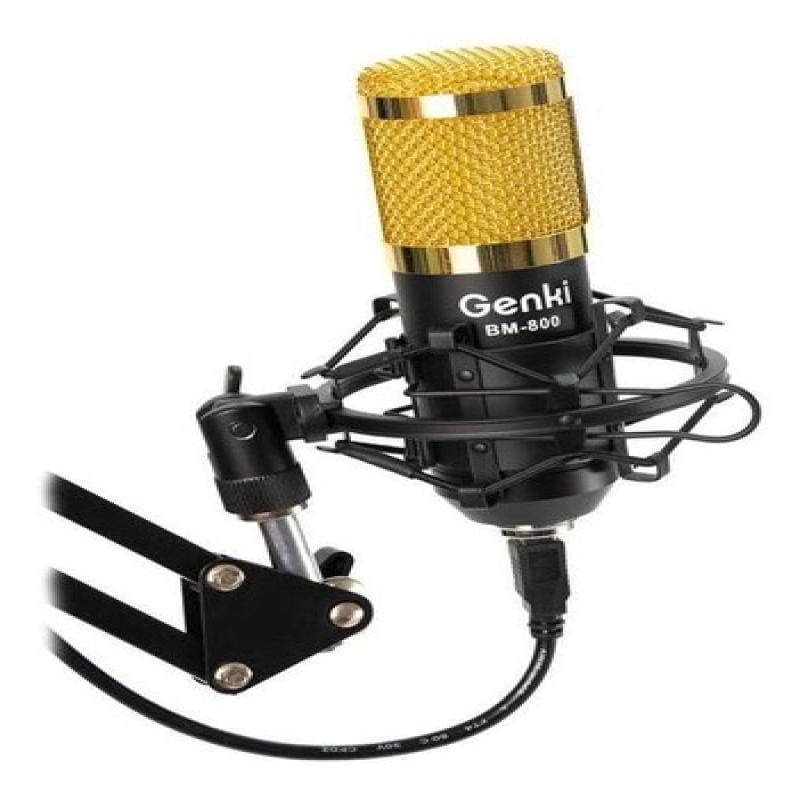 Microfono Condenser Bm800 Usb Kit Brazo Filtro Araña Antipop | CODISUR